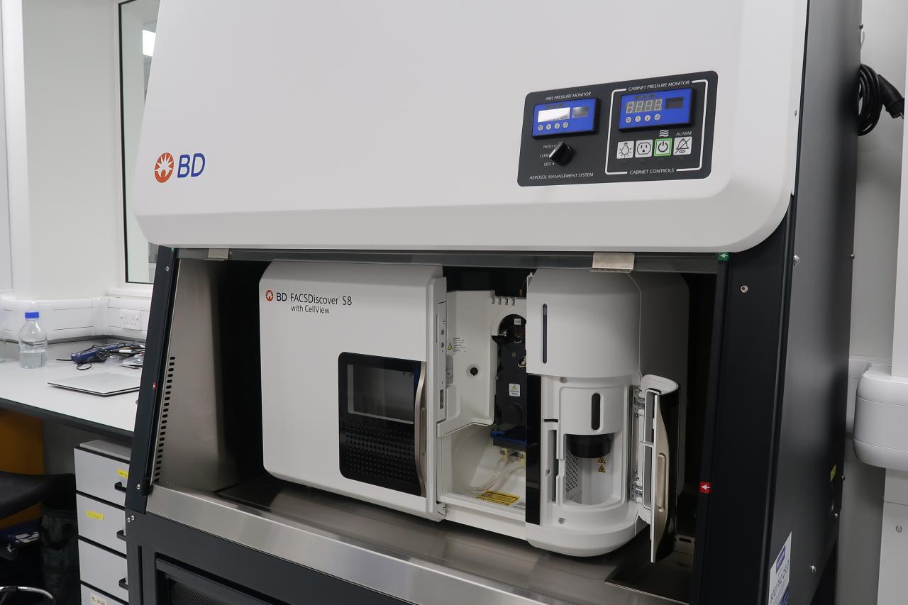 Single-cell and Spatial Analysis