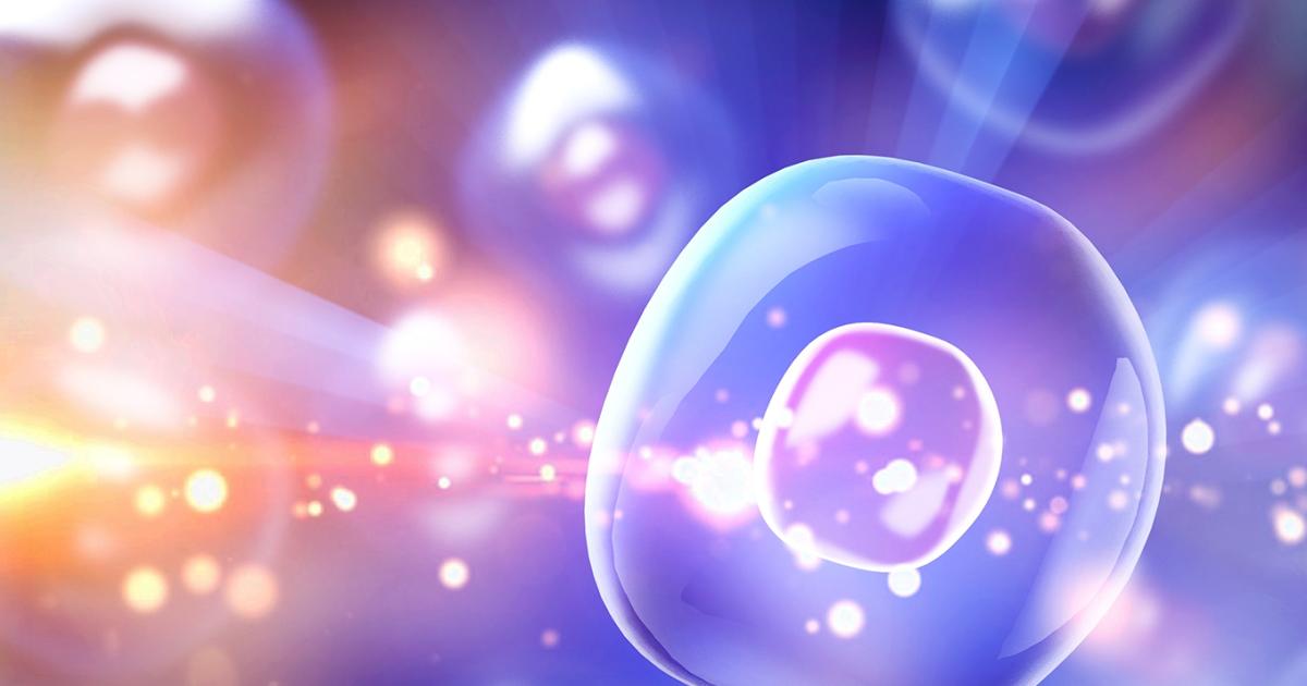 Single-Cell RNAseq Laboratory 2024 | Earlham Institute