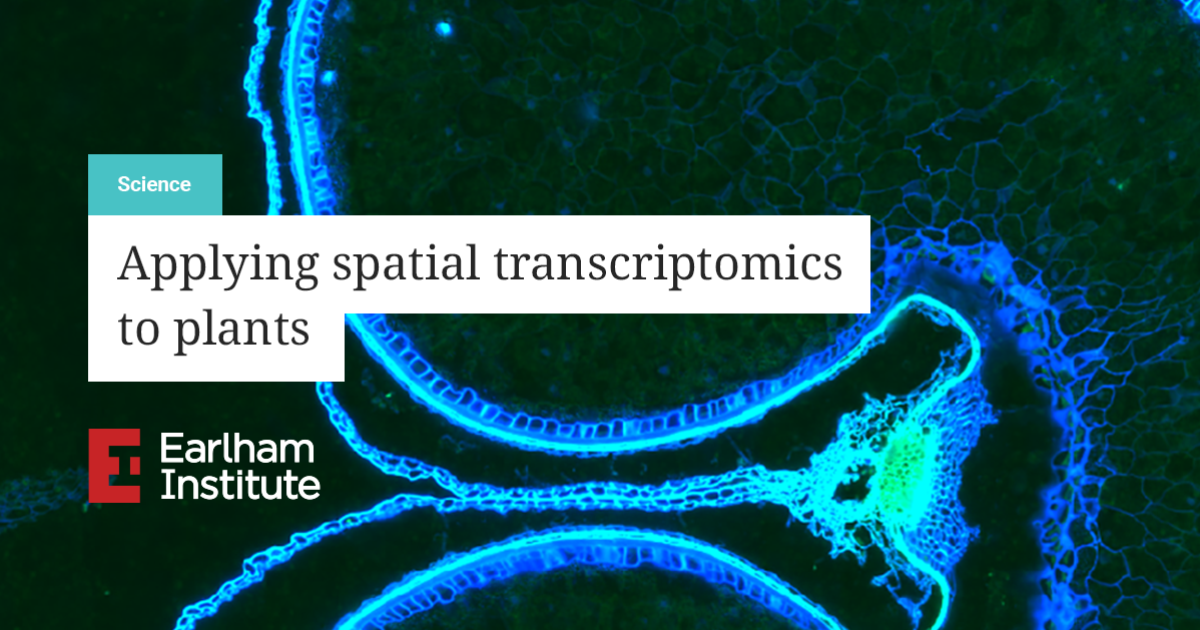 Applying Spatial Transcriptomics In Plants Earlham Institute