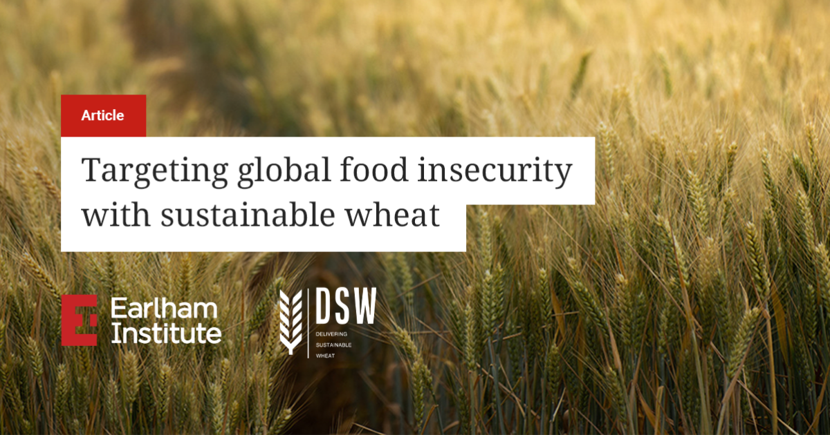 Targeting global food insecurity with sustainable wheat | Earlham Institute