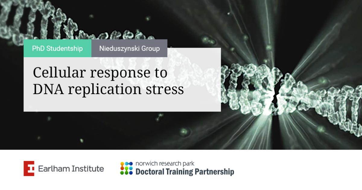 Cellular response to DNA replication stress | Earlham Institute